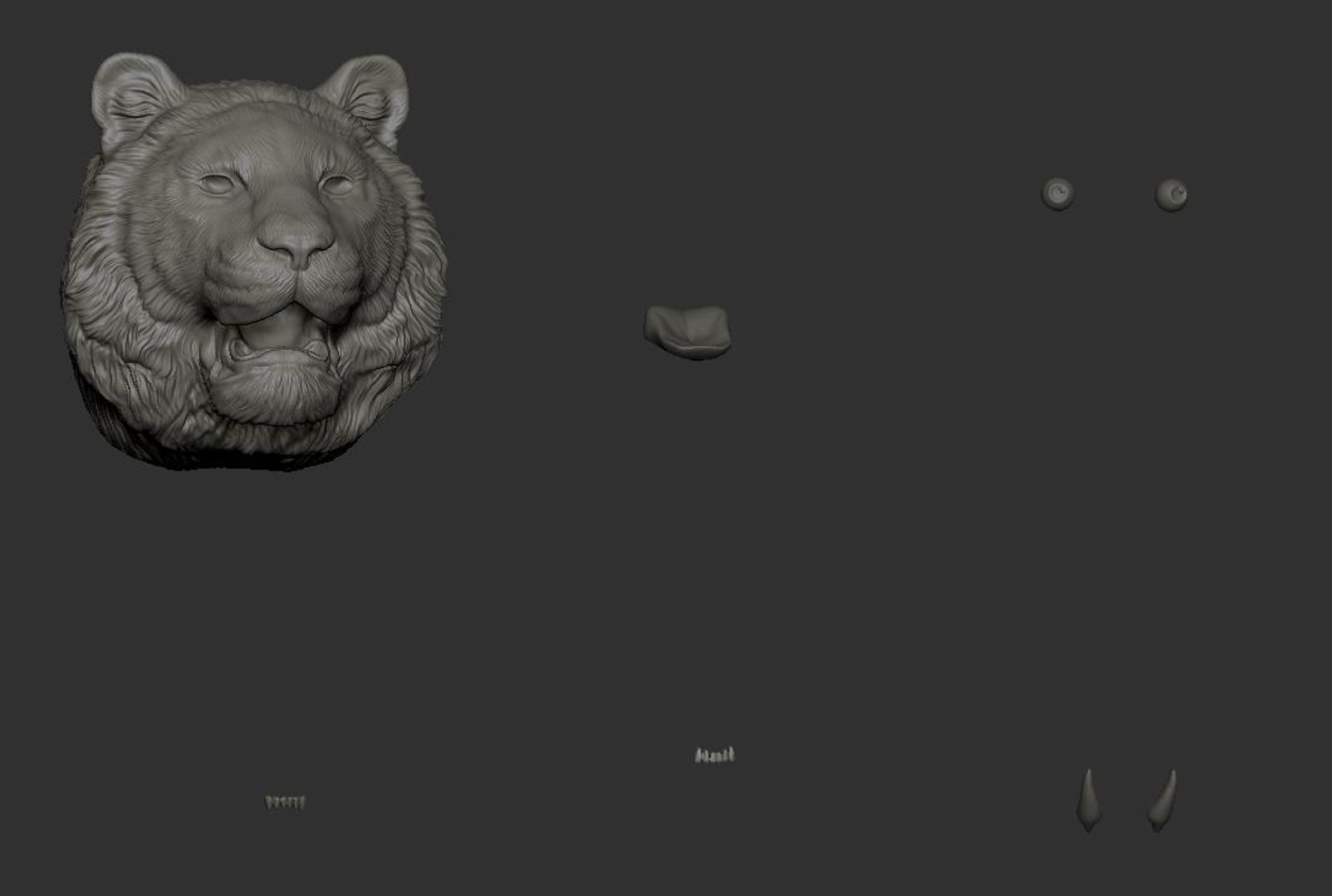Tiger Head 3D Model - TurboSquid 1746517