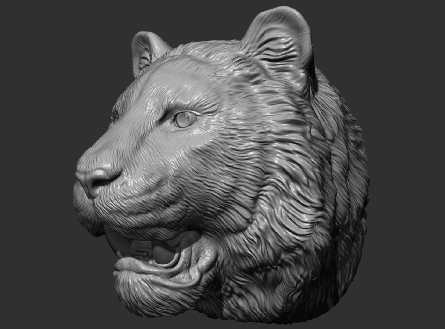 Tiger Head 3D Model - TurboSquid 1746517