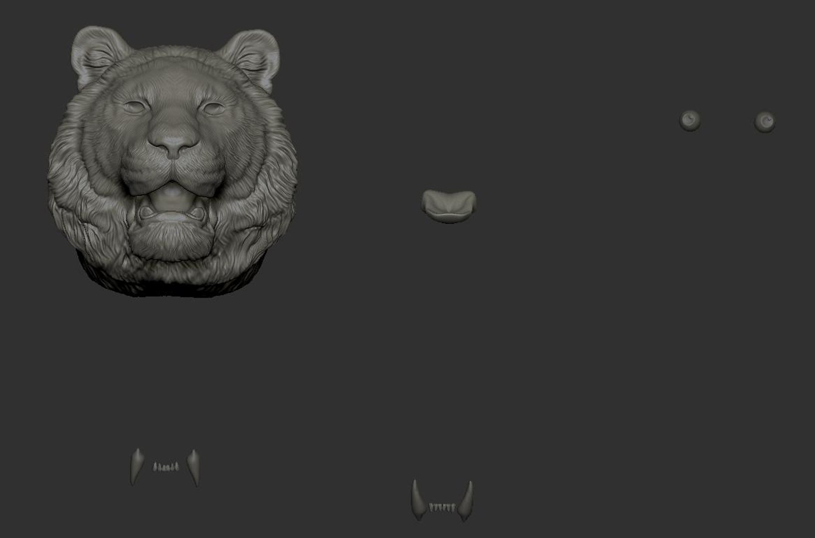 Tiger Head 3D Model - TurboSquid 1746517