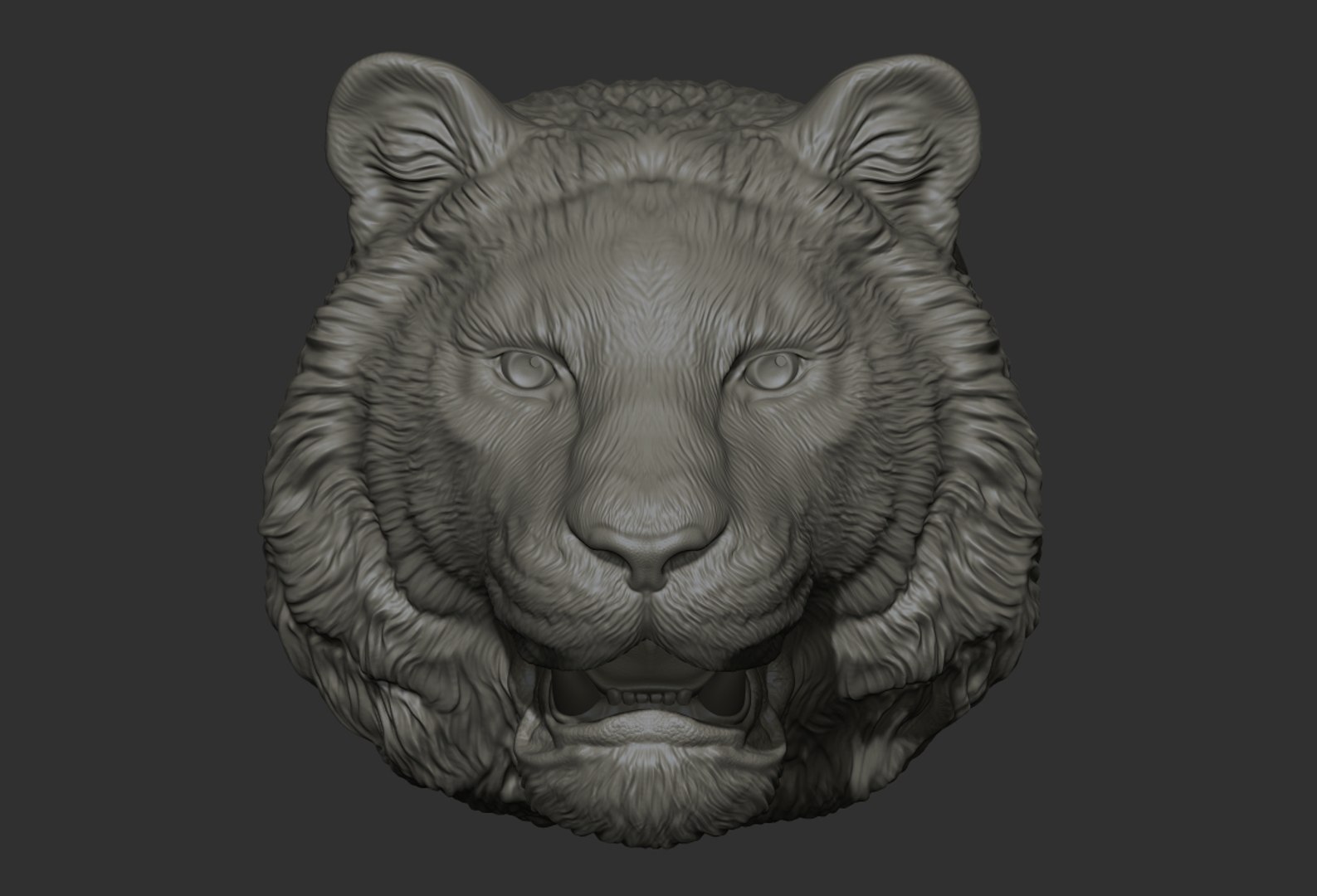 Tiger Head 3D Model - TurboSquid 1746517