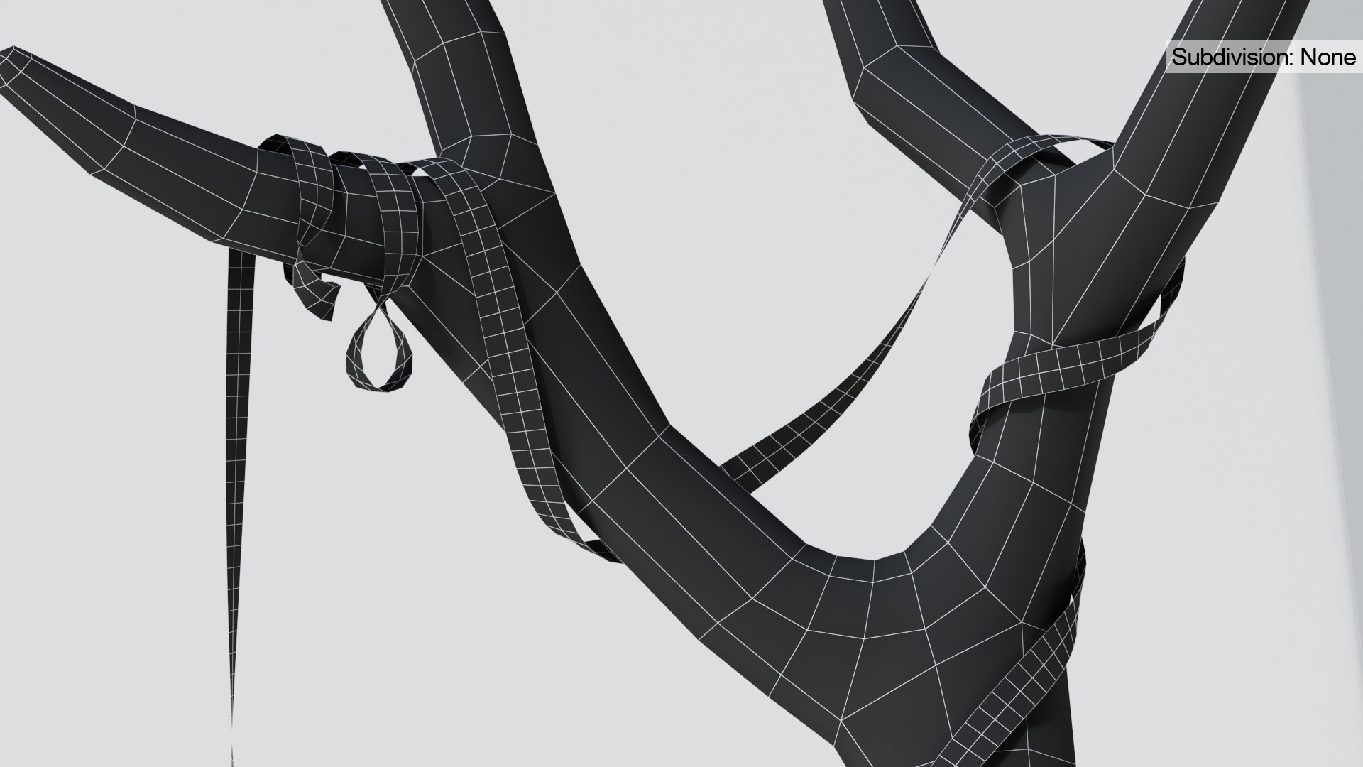 Horn ribbons 3D model - TurboSquid 1874012