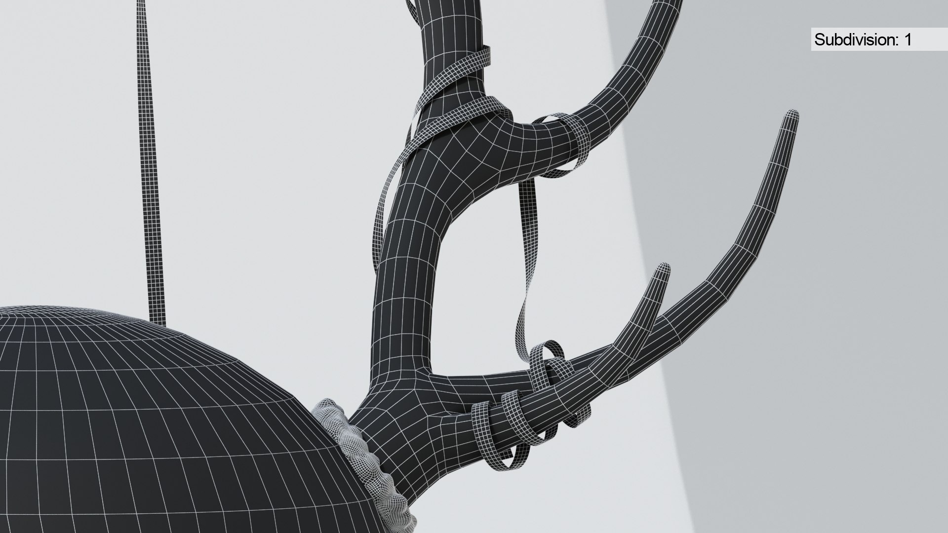Horn ribbons 3D model - TurboSquid 1874012