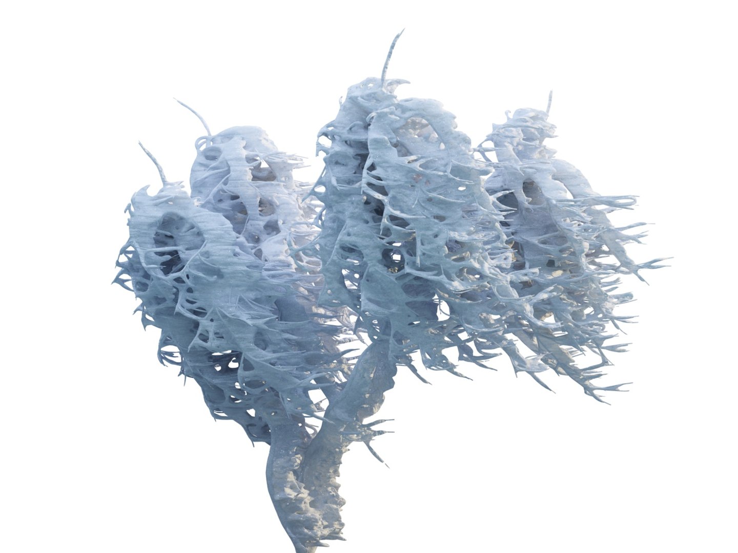 frozen tree hd 3d model
