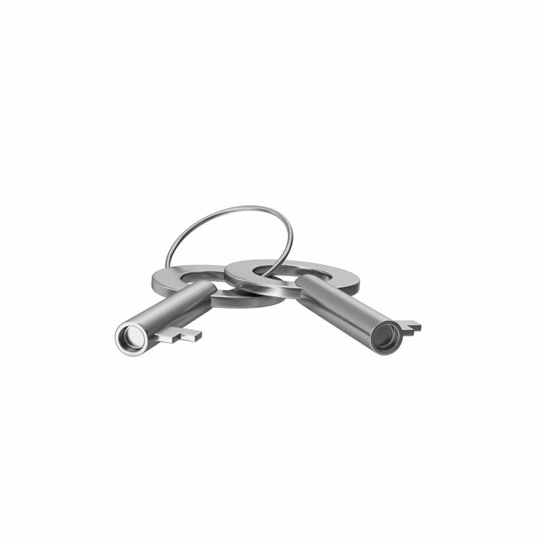 Silver Handcuff Keys 3D Model - TurboSquid 2156534