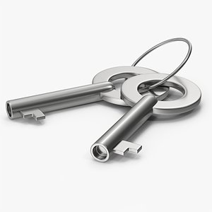 Skeleton Key 3D Models for Download | TurboSquid