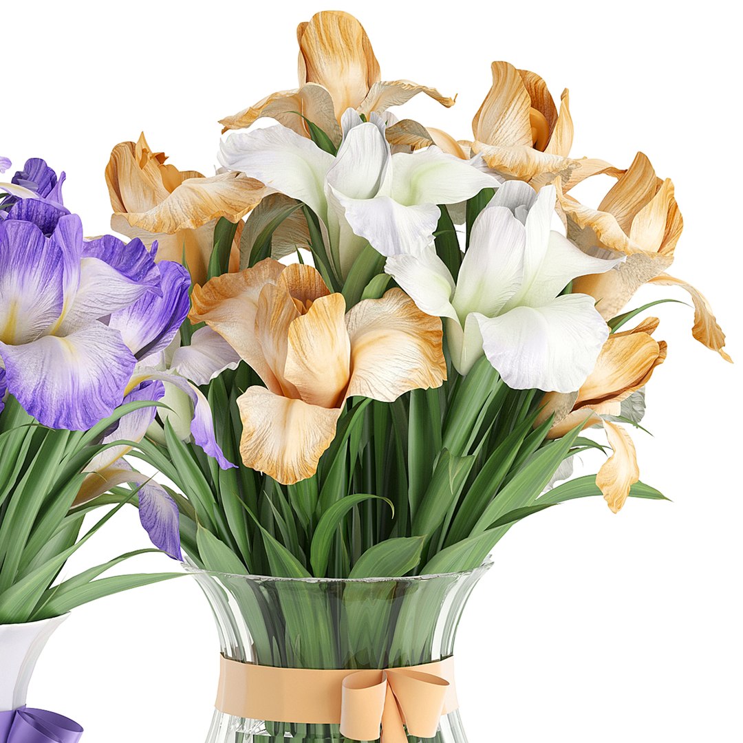 Flower Pack 249C 3D - TurboSquid 1897112