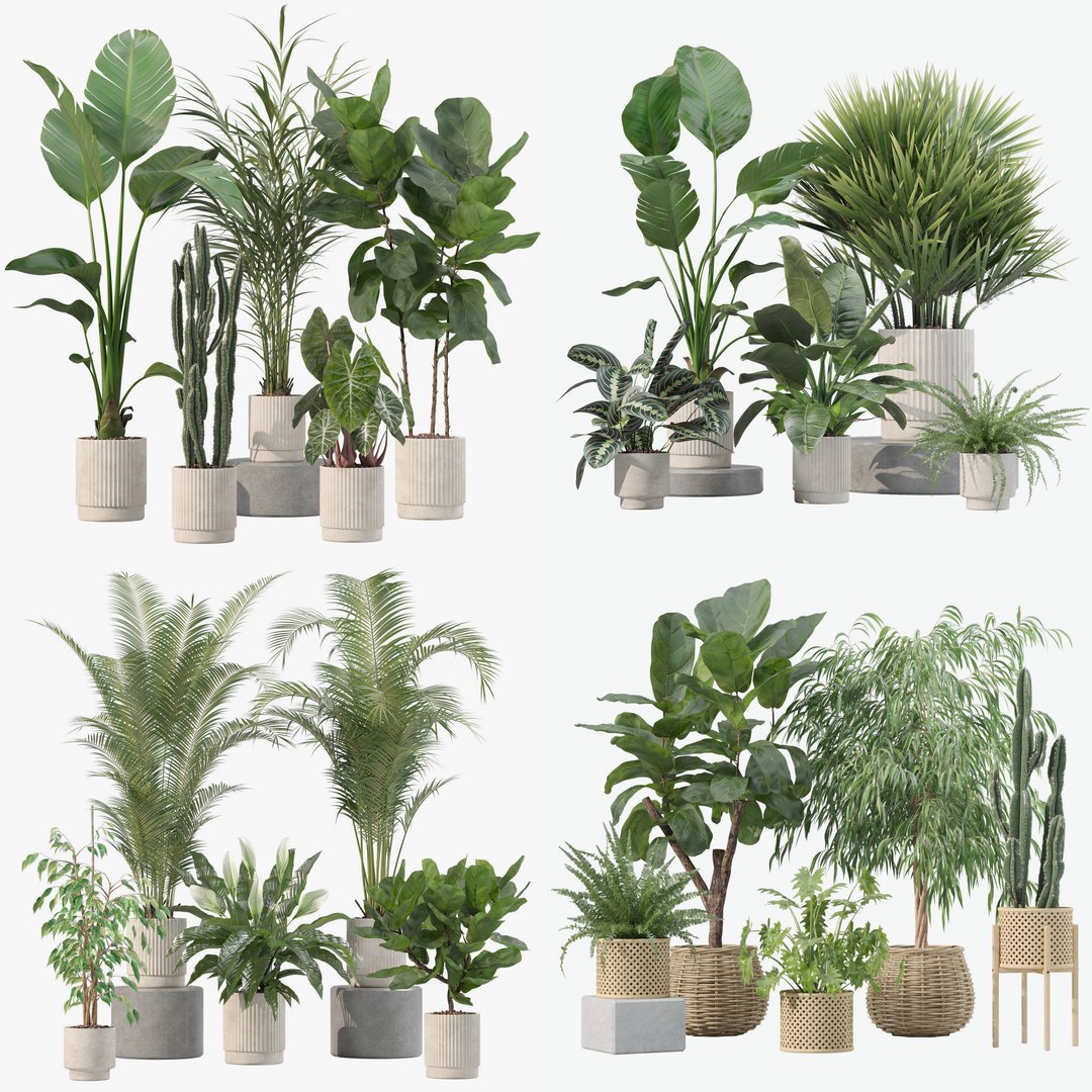 3D Model 20 Photorealistic Flowers For Interiors - Set 201 207 213 219 ...