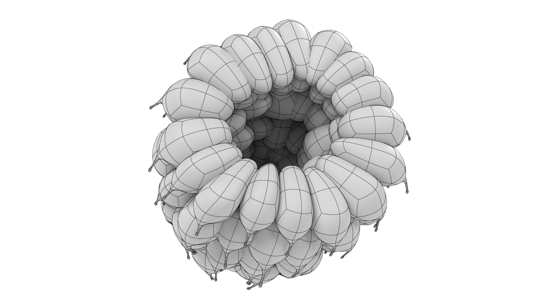 Raspberry 3D Model | 1144097 | TurboSquid