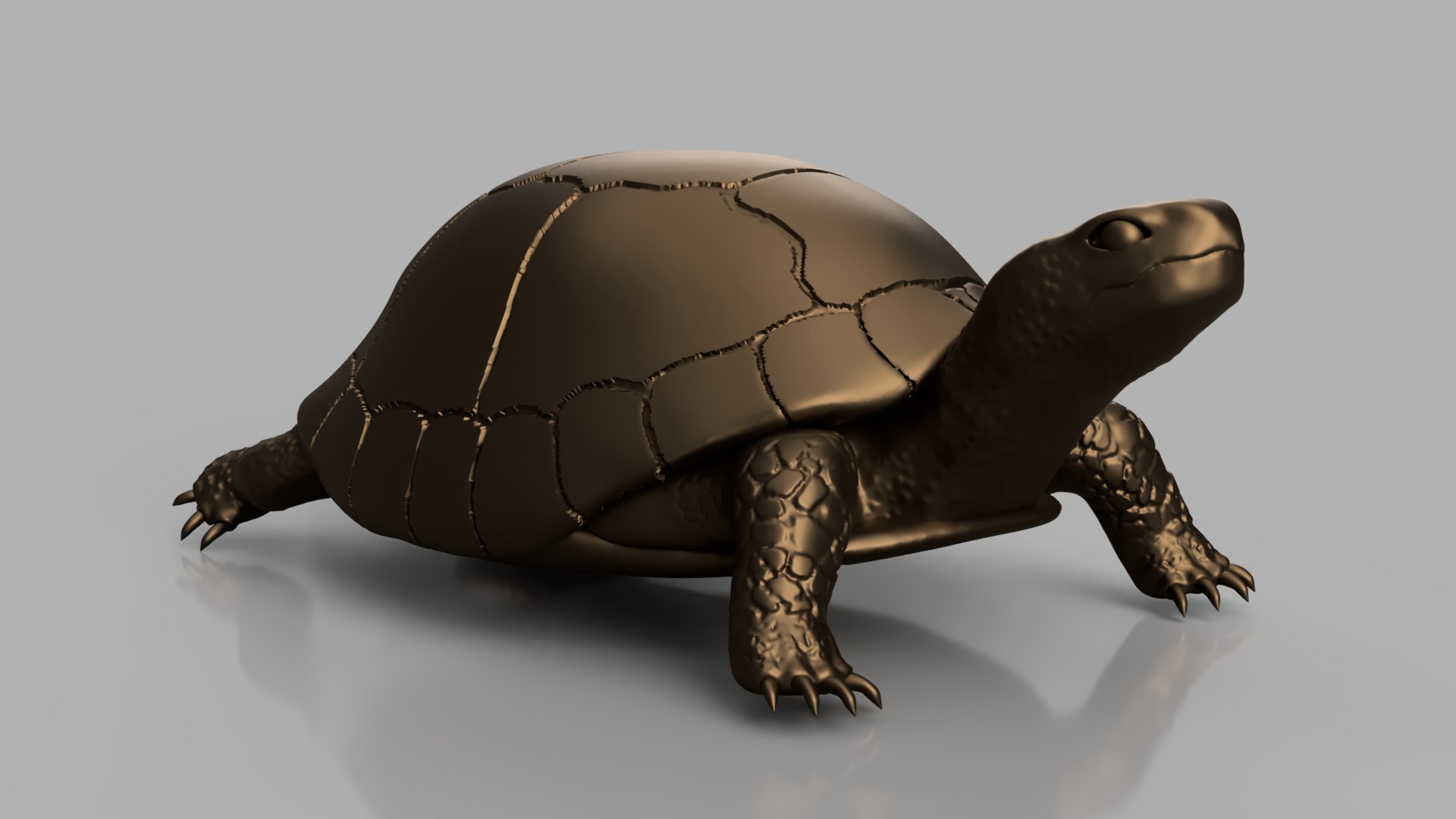 Turtle 3D Model - TurboSquid 2270904