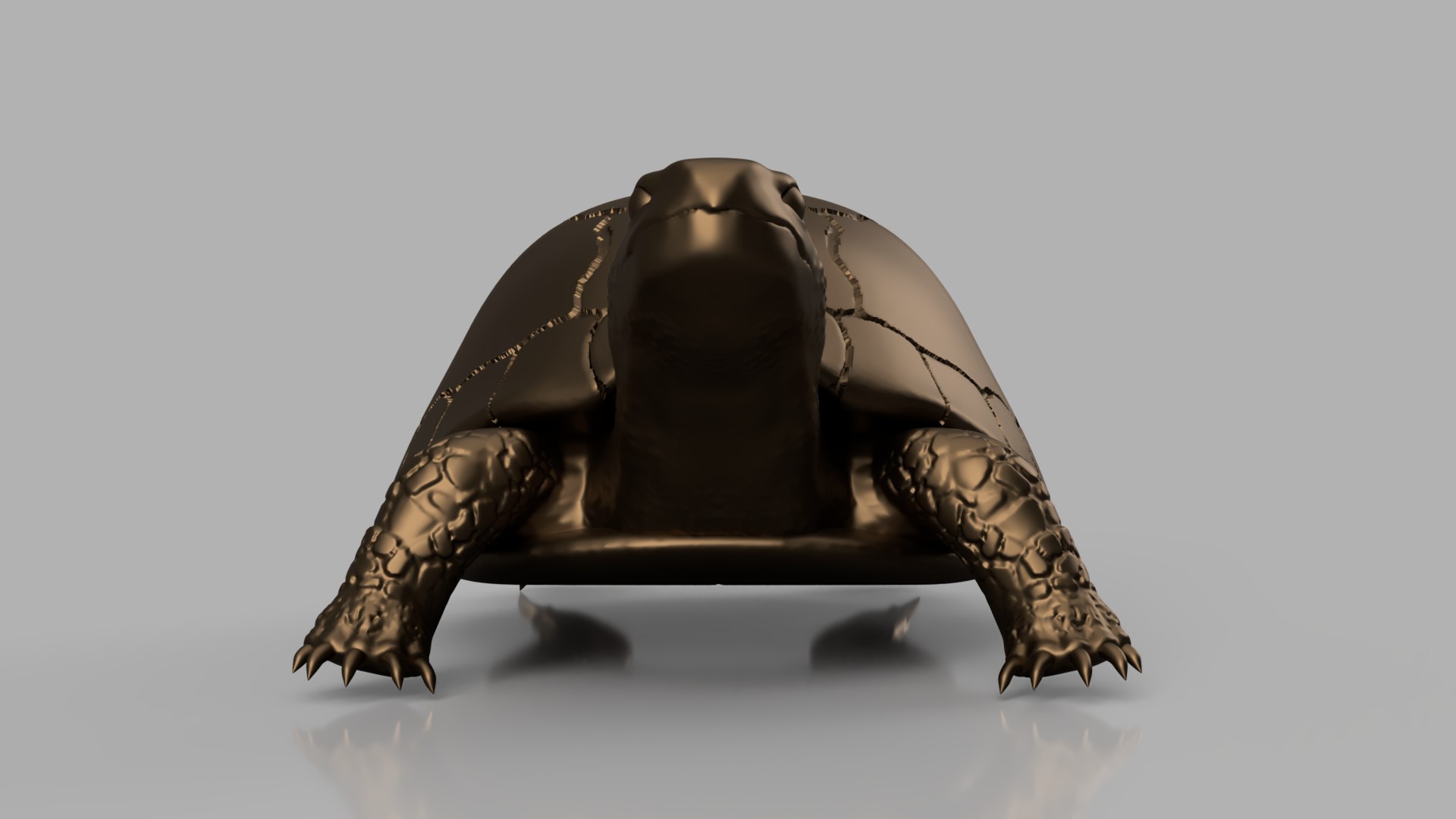 Turtle 3D Model - TurboSquid 2270904