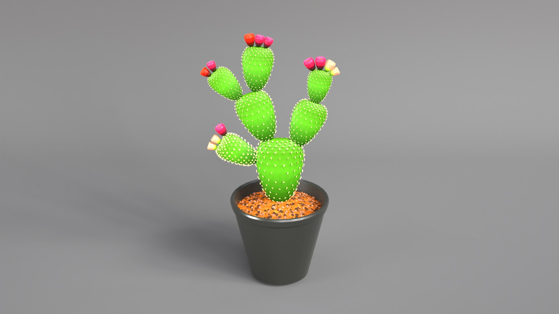 3D Cactus Plant Model - TurboSquid 2108745