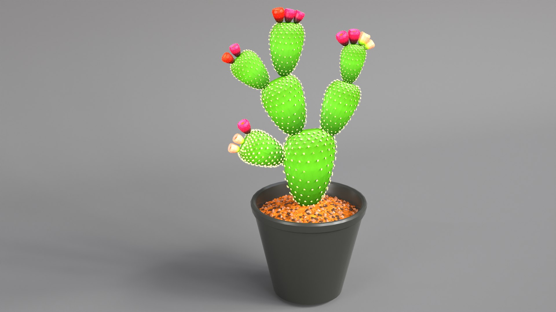 3D Cactus Plant Model - TurboSquid 2108745