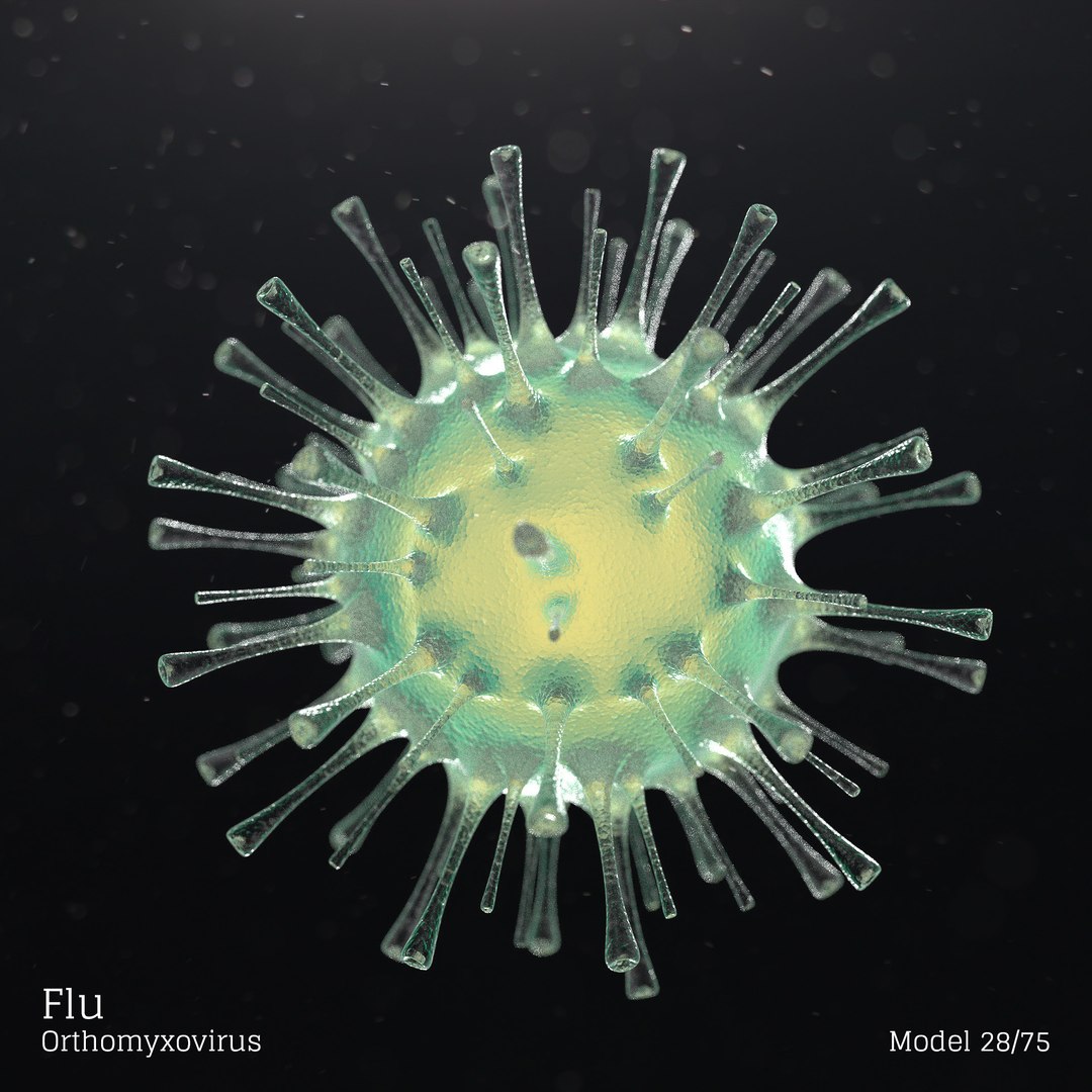 3D Microbes Micro Organisms Model - TurboSquid 1626102