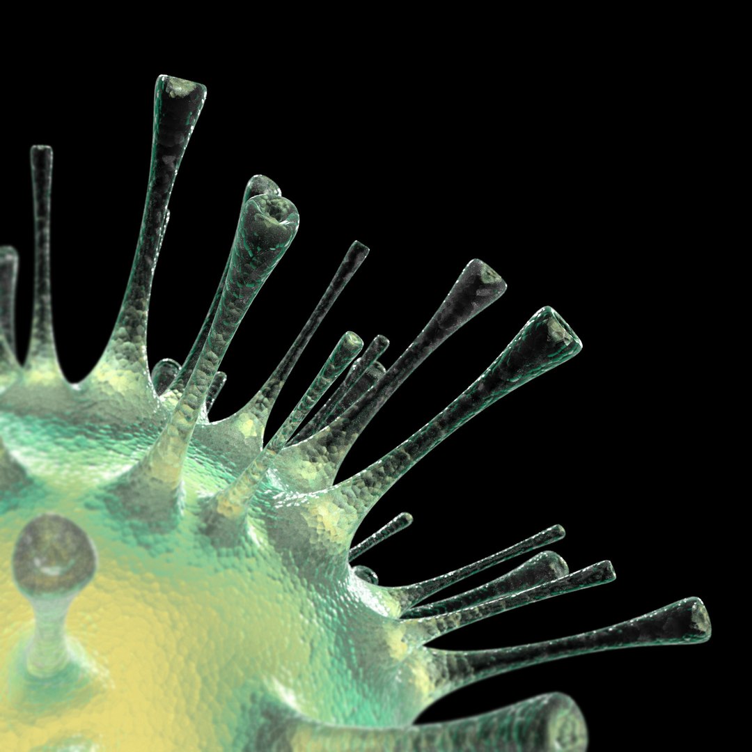 3D Microbes Micro Organisms Model - TurboSquid 1626102