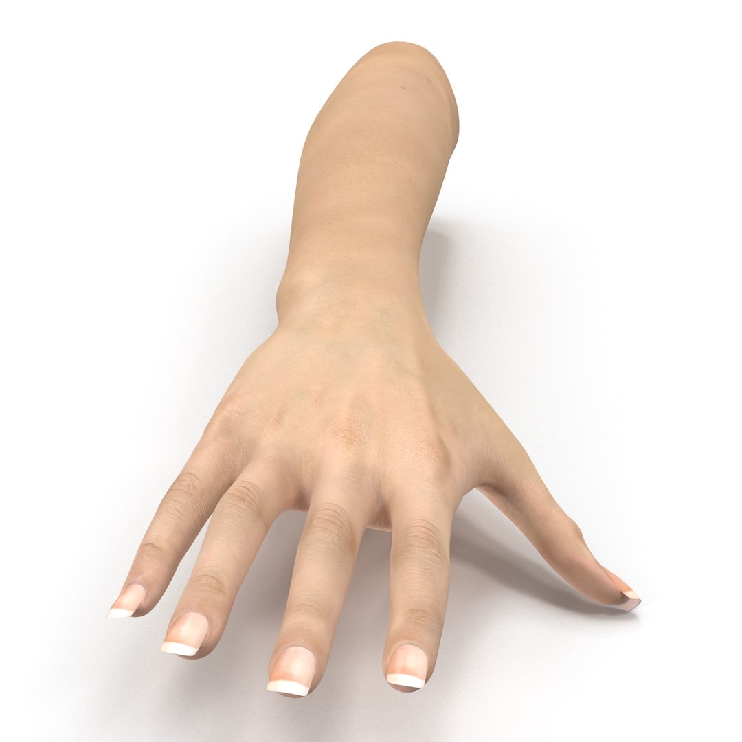 female hand 3 rigged 3d model
