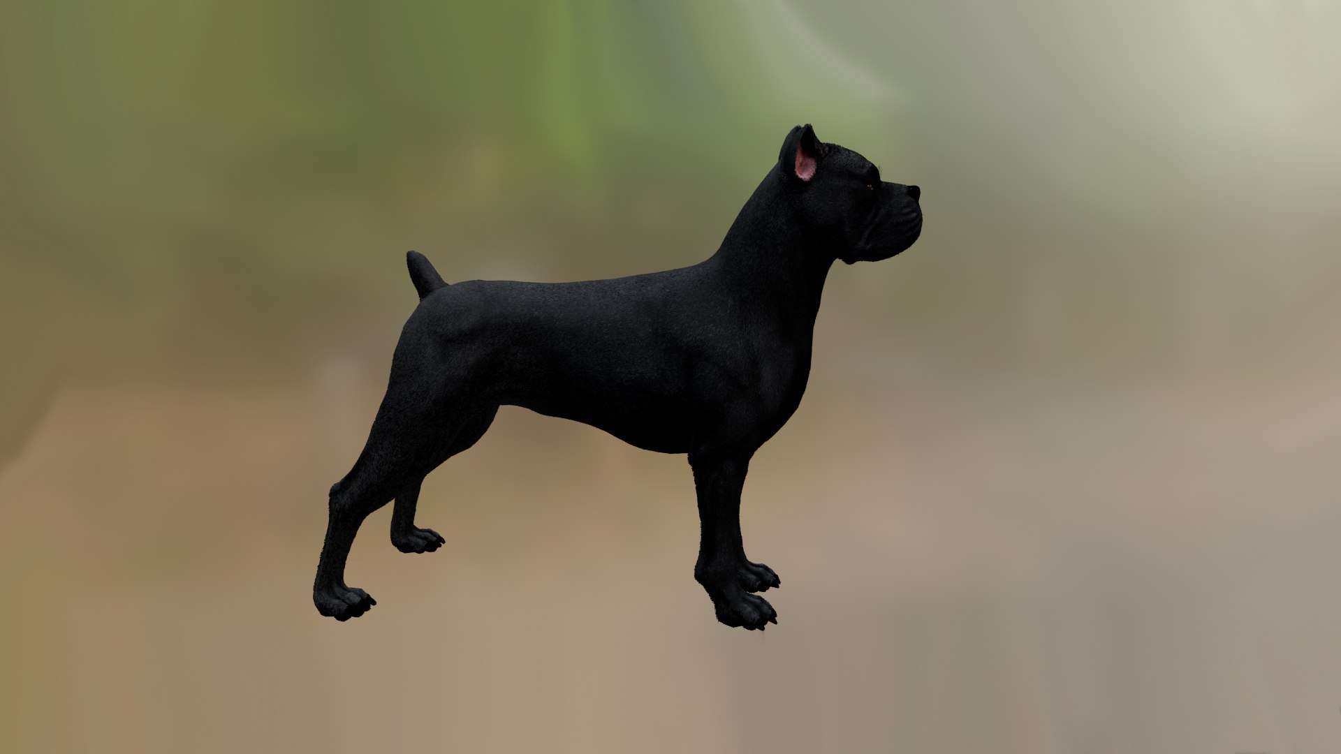 3D Dogs Model - TurboSquid 2227261