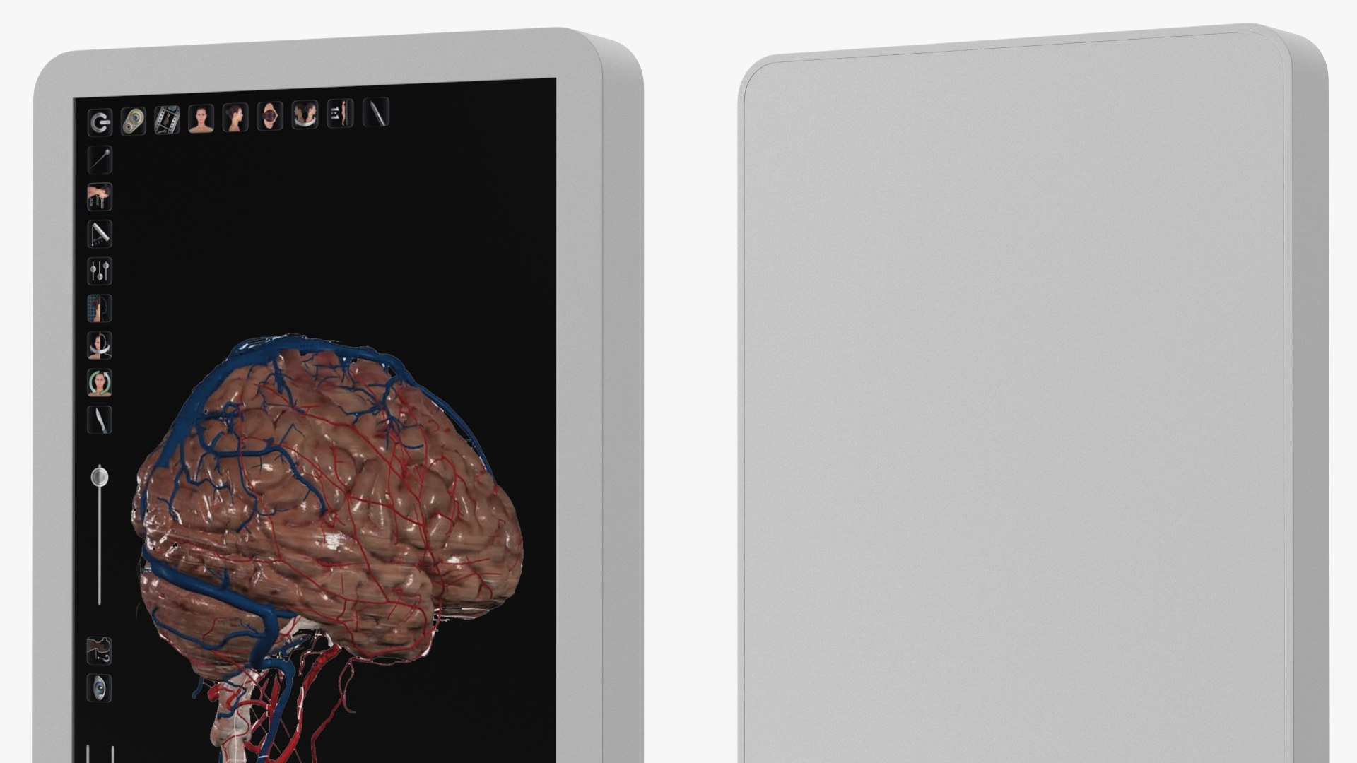 3D Vertical Interactive Desktop Display Brain Device Model - TurboSquid ...