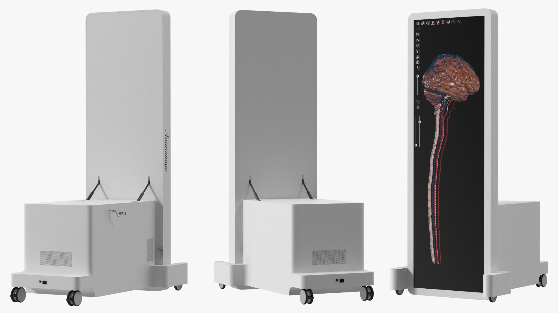 3D Vertical Interactive Desktop Display Brain Device Model - TurboSquid ...