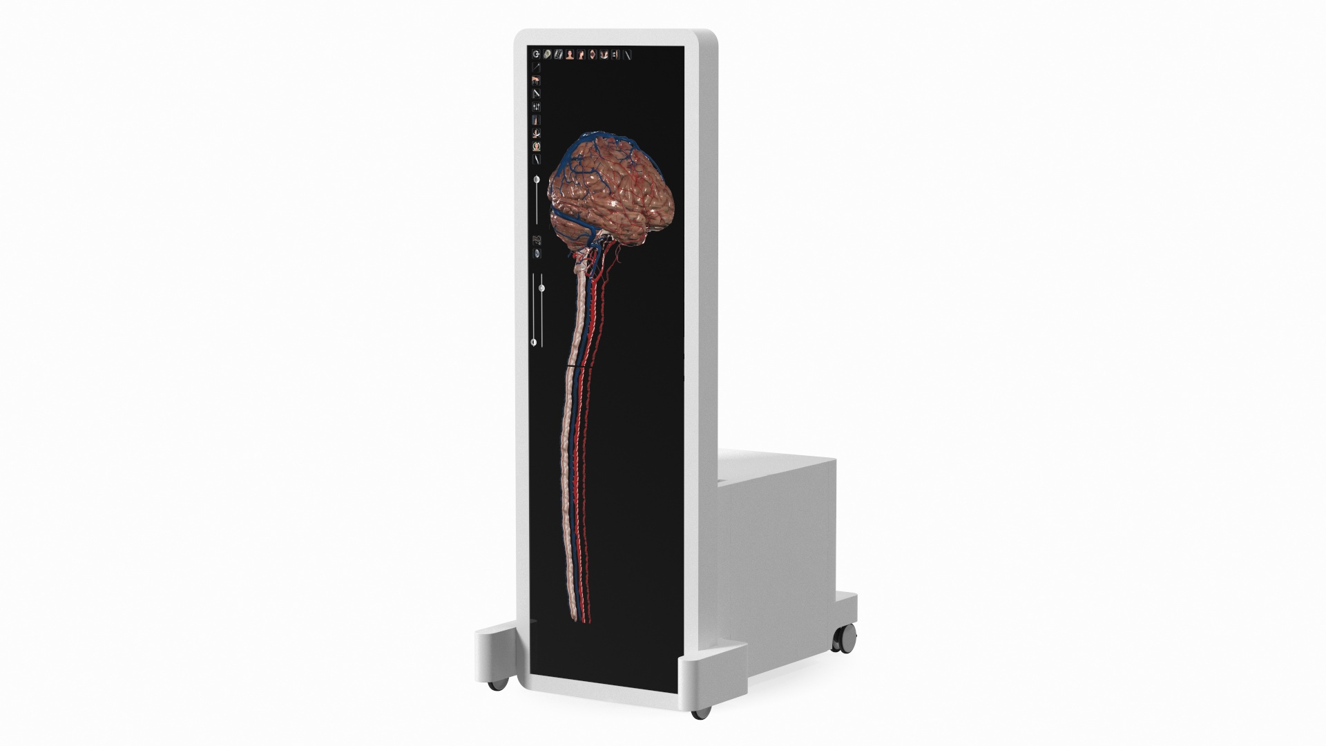 3D Vertical Interactive Desktop Display Brain Device Model - TurboSquid ...