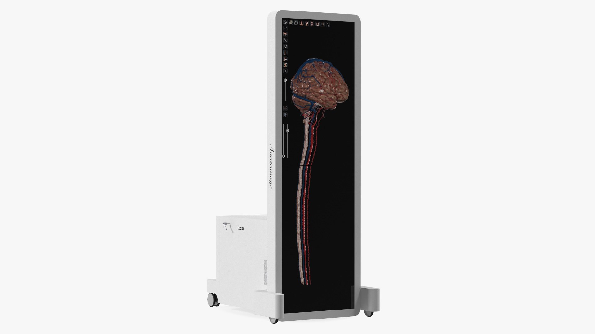 3D Vertical Interactive Desktop Display Brain Device Model - TurboSquid ...