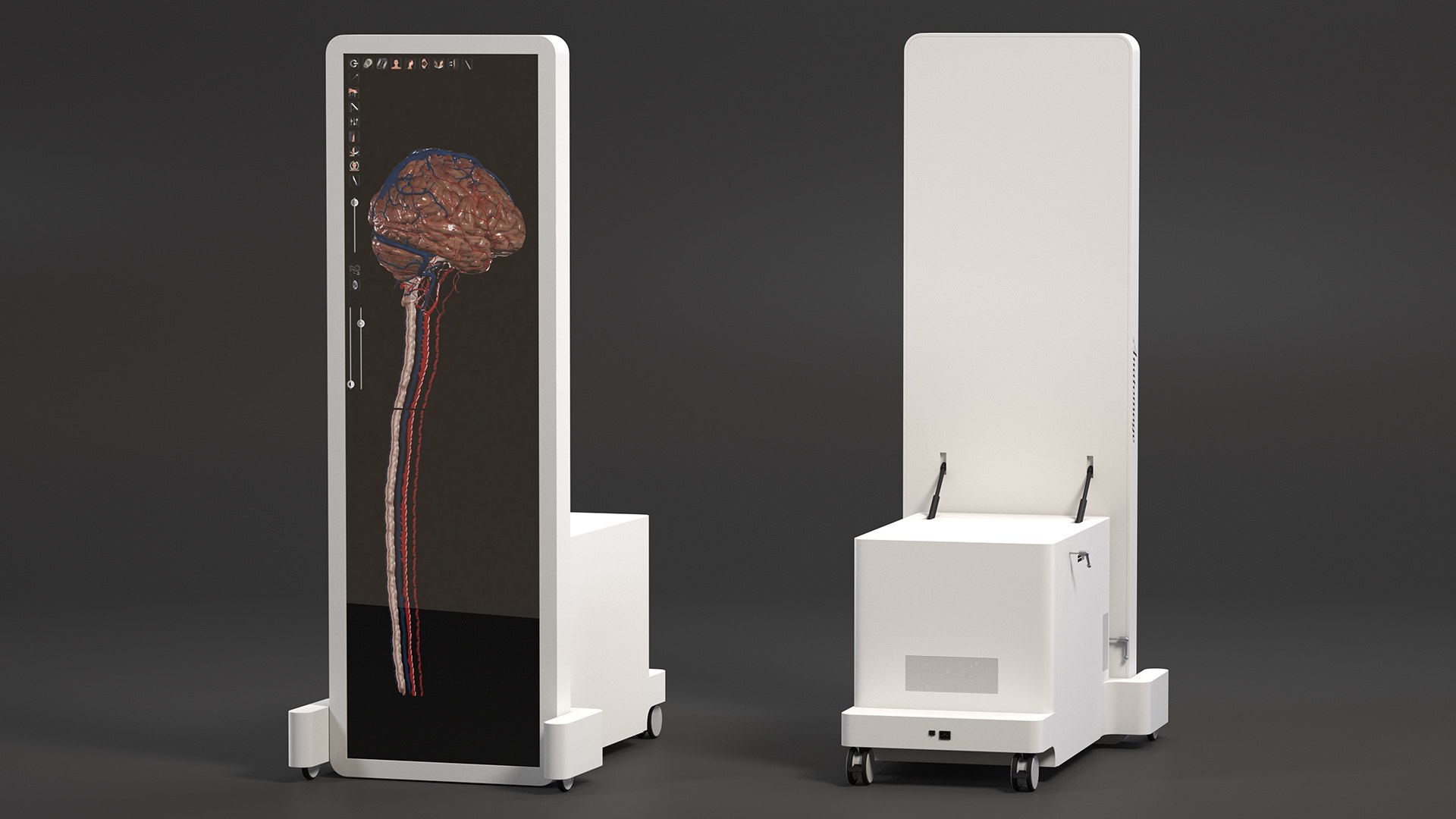 3D Vertical Interactive Desktop Display Brain Device Model - TurboSquid ...