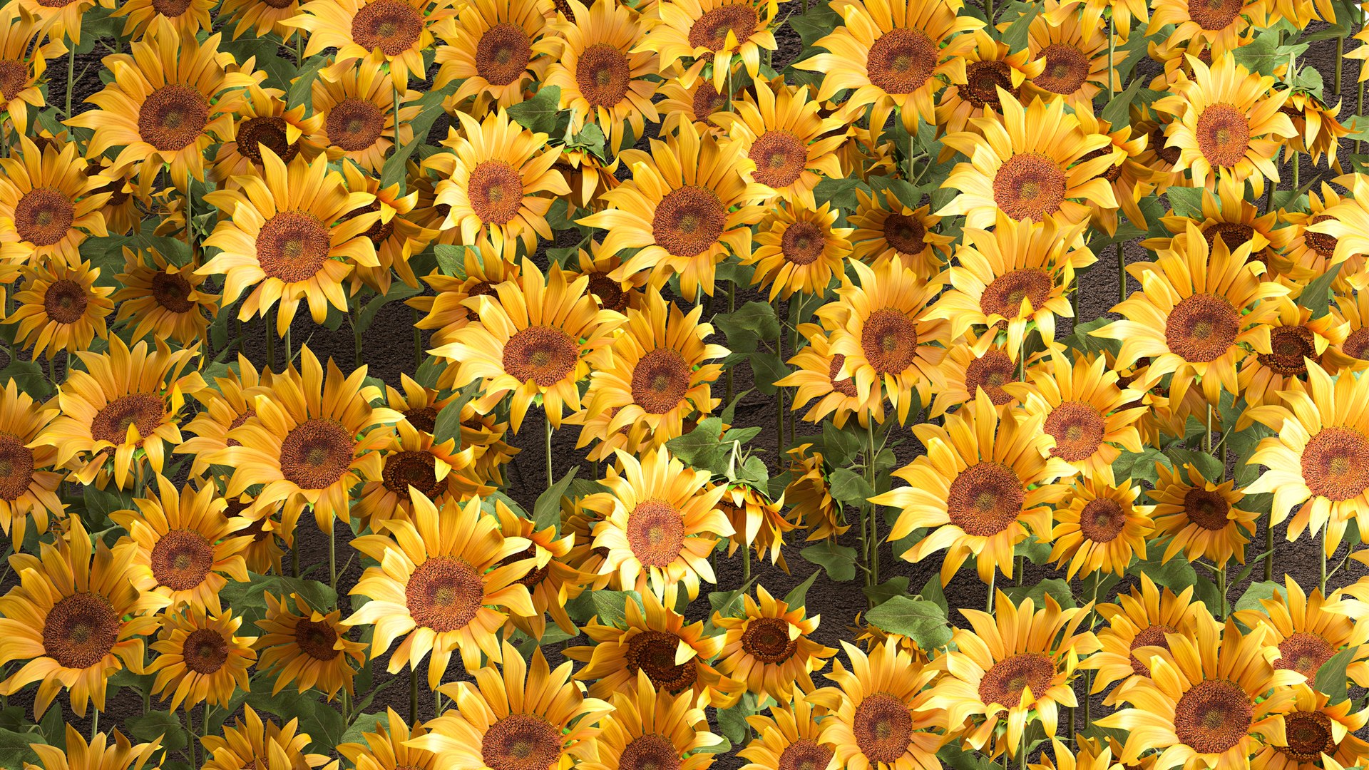 3D Sunflower Field - TurboSquid 1764650