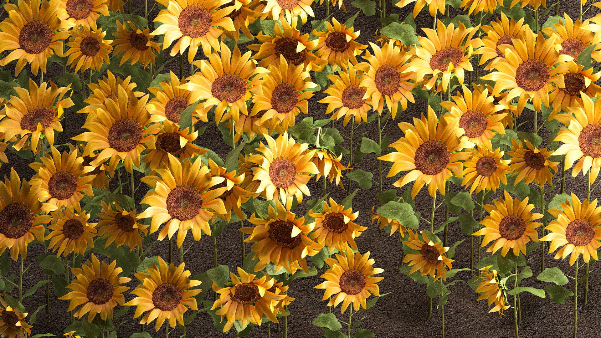 3D Sunflower Field - TurboSquid 1764650