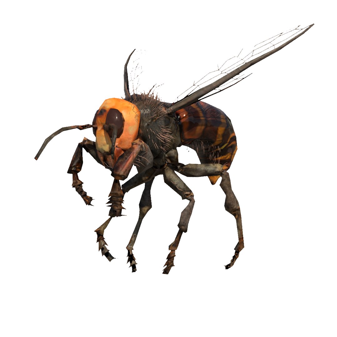 3D Model Realistic Animated Bee - TurboSquid 2082831