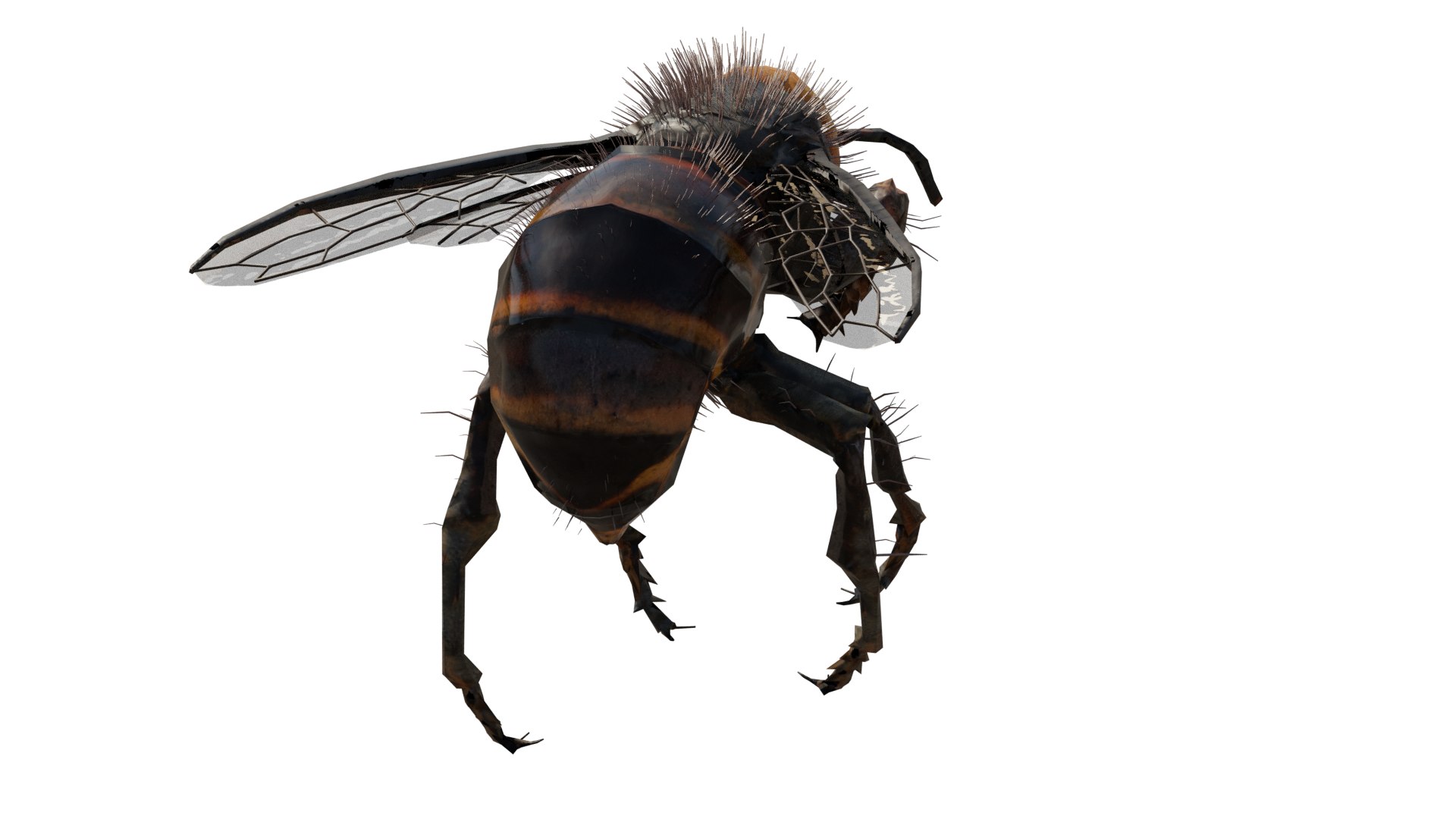 3D Model Realistic Animated Bee - TurboSquid 2082831