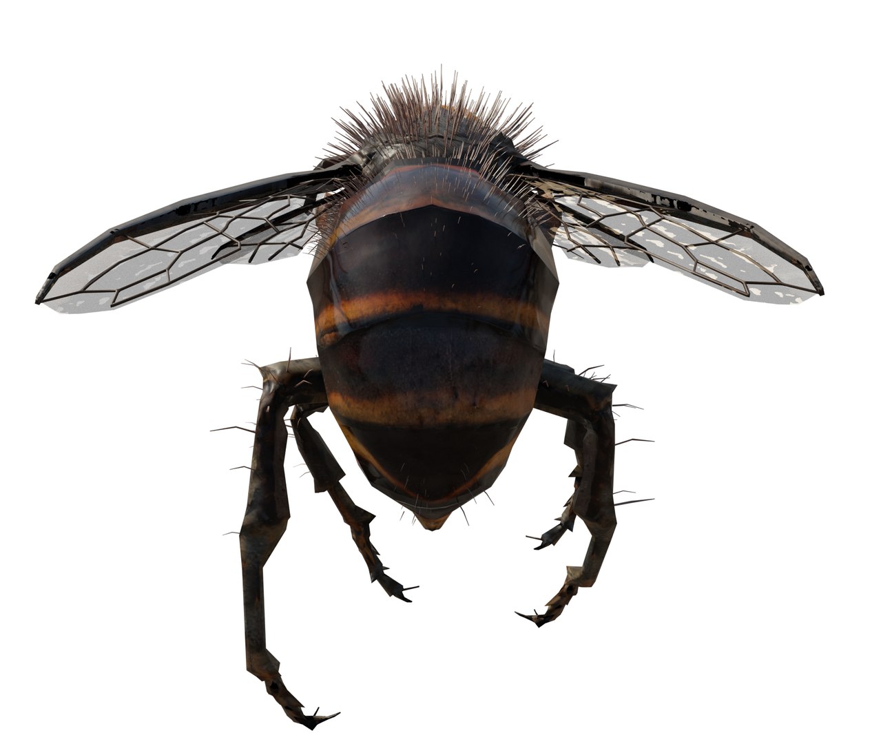3D Model Realistic Animated Bee - TurboSquid 2082831