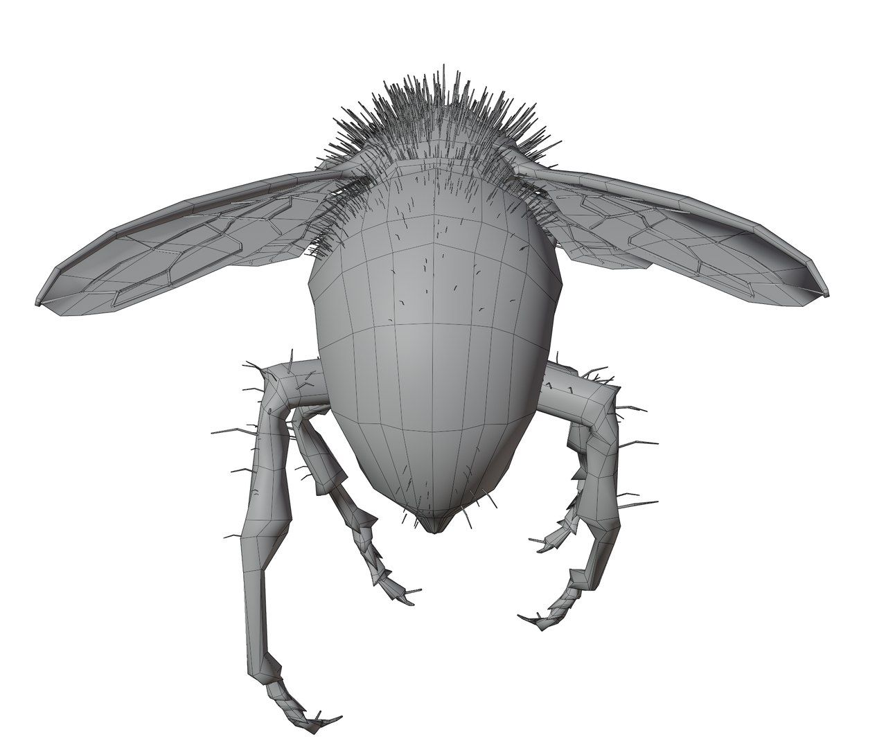 3D Model Realistic Animated Bee - TurboSquid 2082831