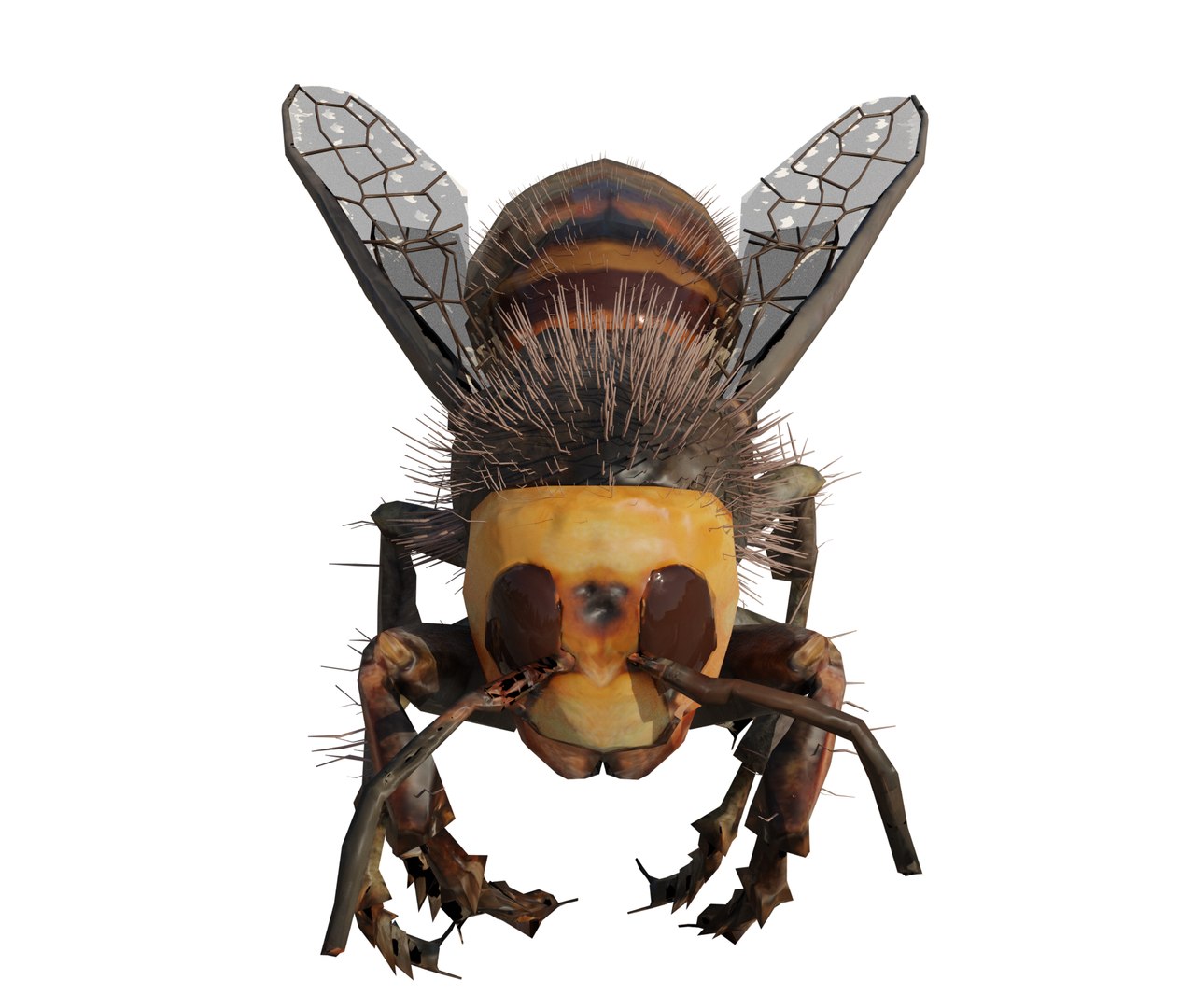 3D Model Realistic Animated Bee - TurboSquid 2082831