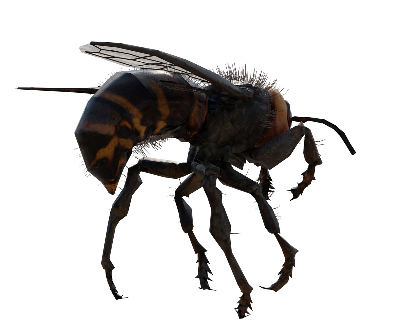 3D Model Realistic Animated Bee - TurboSquid 2082831