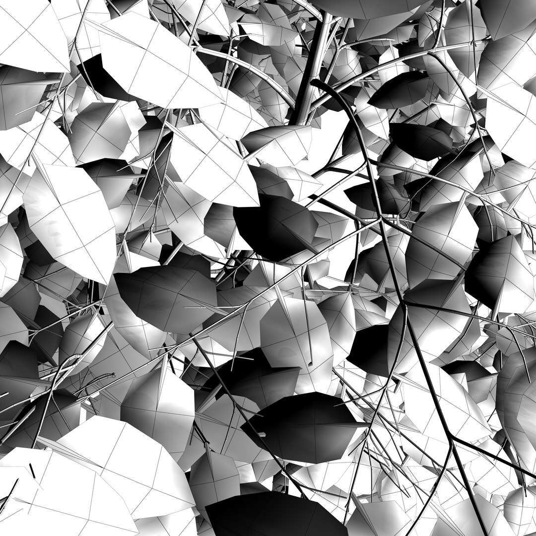 3d Model Tree Polygons