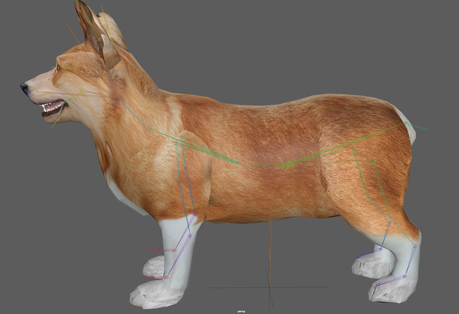 Corgi - Dog 3D Model - TurboSquid 2087969