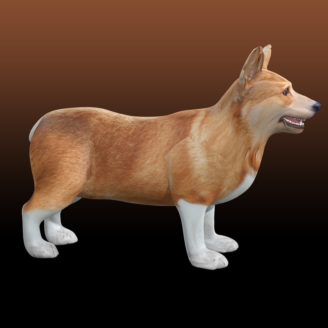 Corgi - Dog 3D Model - TurboSquid 2087969