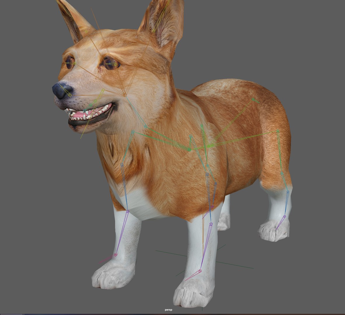 Corgi - Dog 3D Model - TurboSquid 2087969