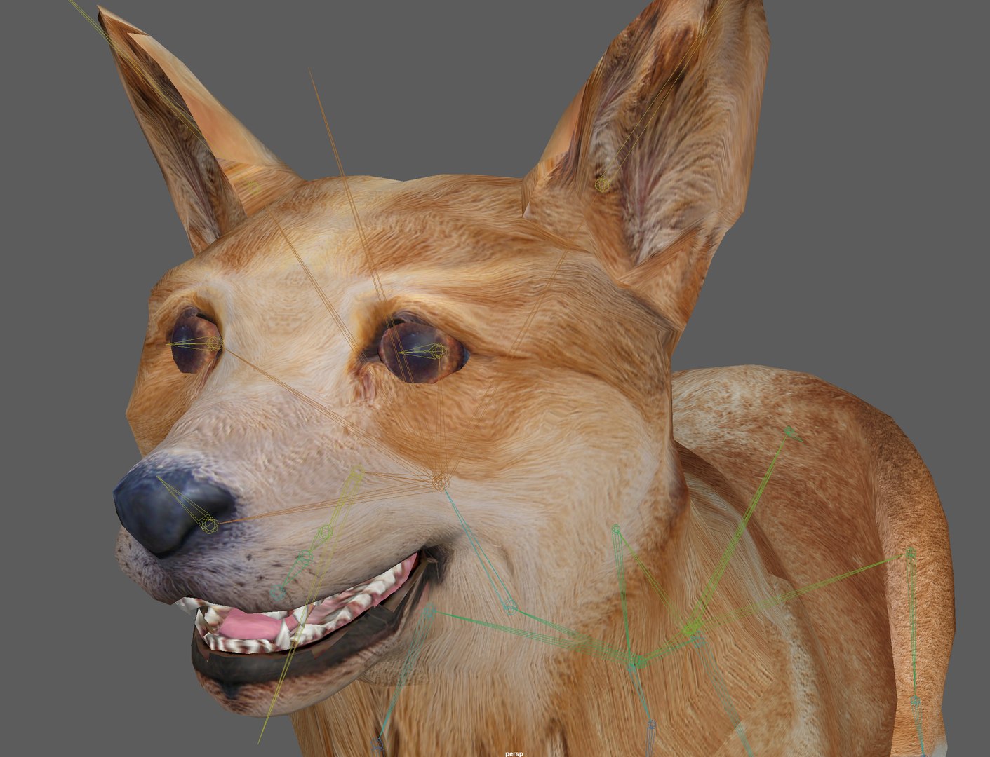 Corgi - Dog 3D Model - TurboSquid 2087969