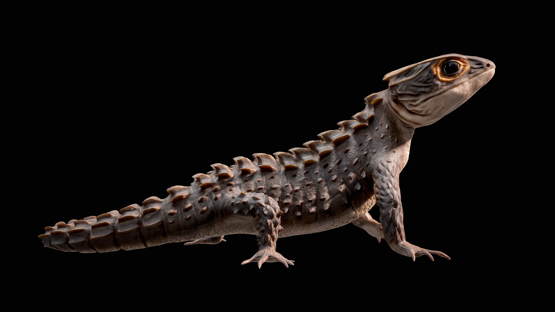 Crocodile Skink Lizard Rigged PBR Model - TurboSquid 2070041