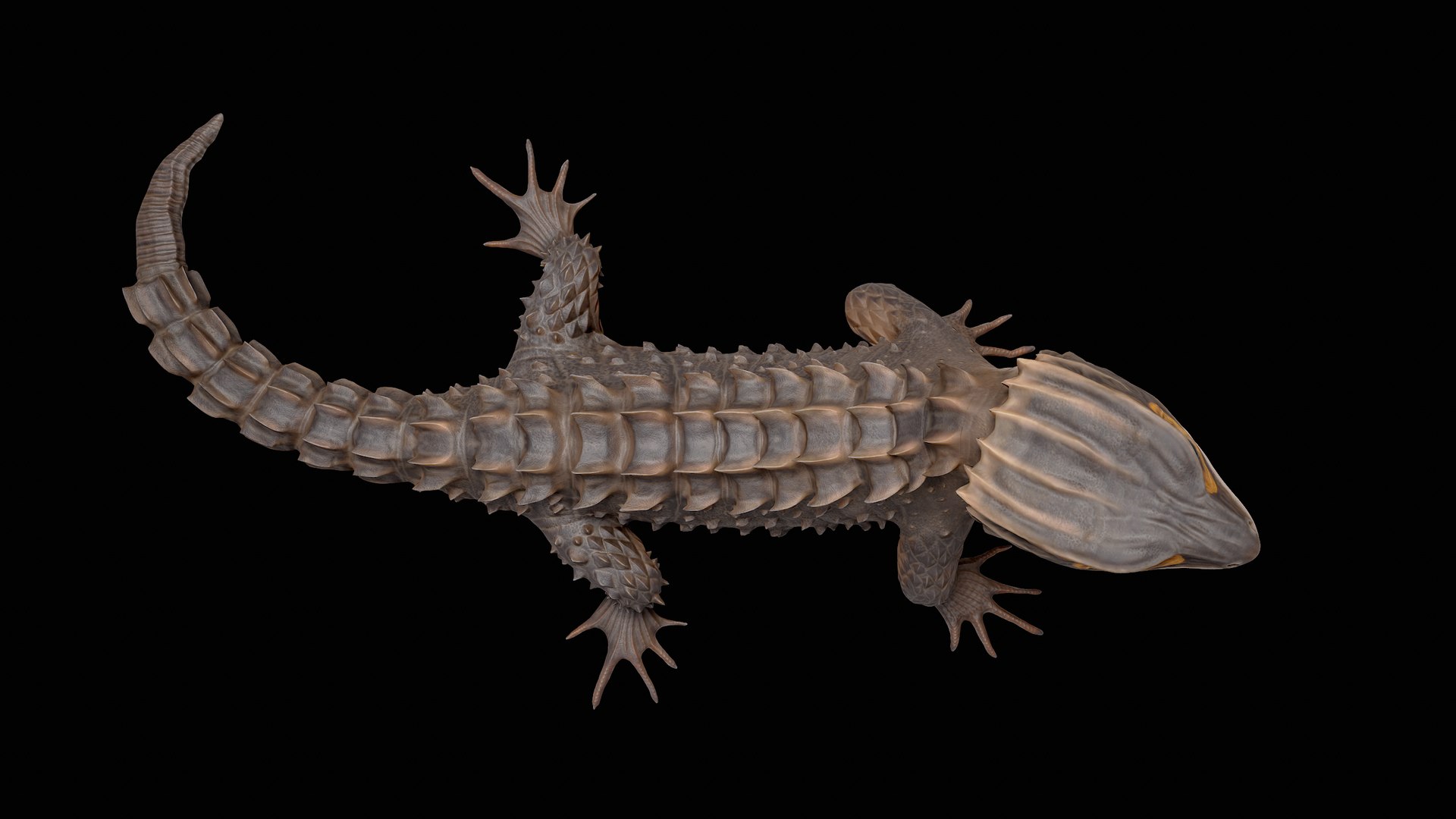 Crocodile Skink Lizard Rigged PBR Model - TurboSquid 2070041