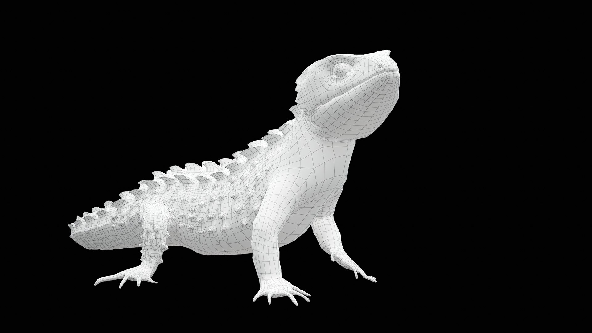 Crocodile Skink Lizard Rigged PBR Model - TurboSquid 2070041