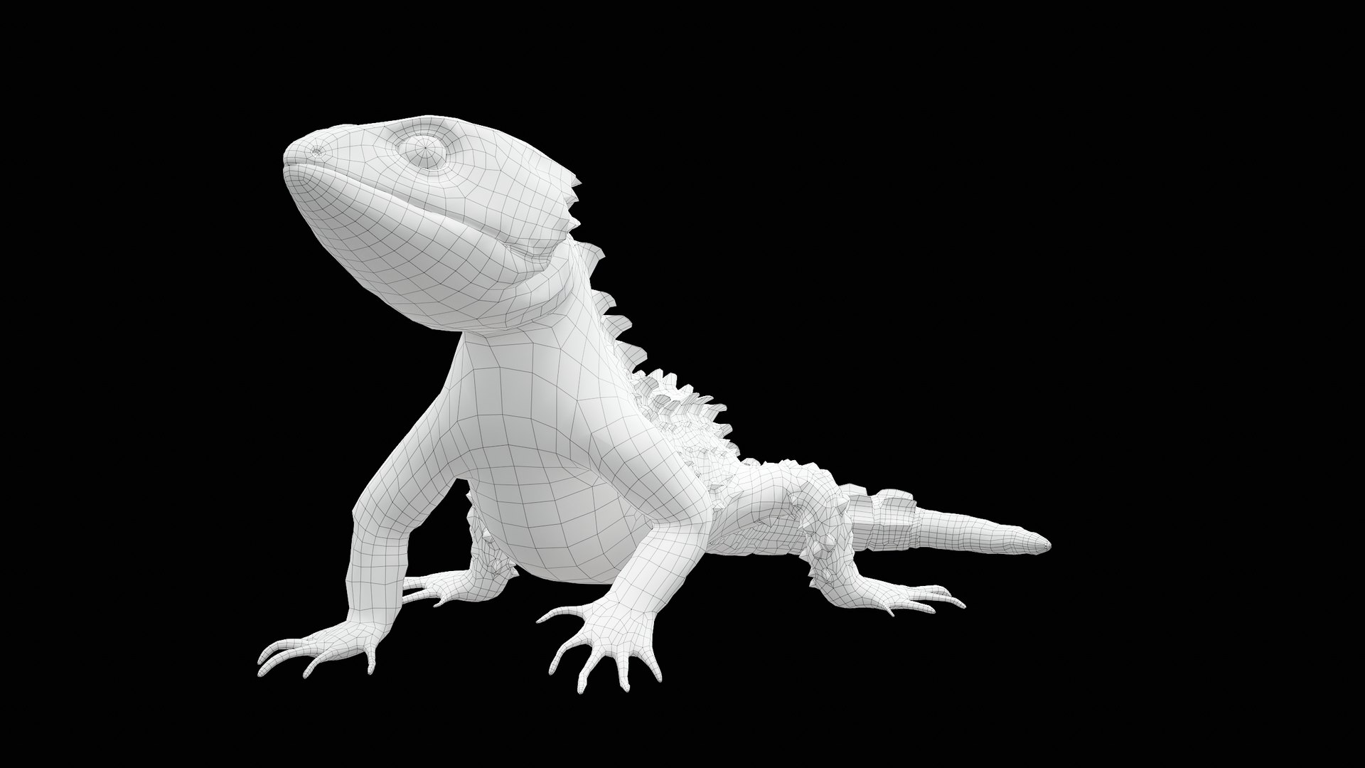 Crocodile Skink Lizard Rigged PBR Model - TurboSquid 2070041