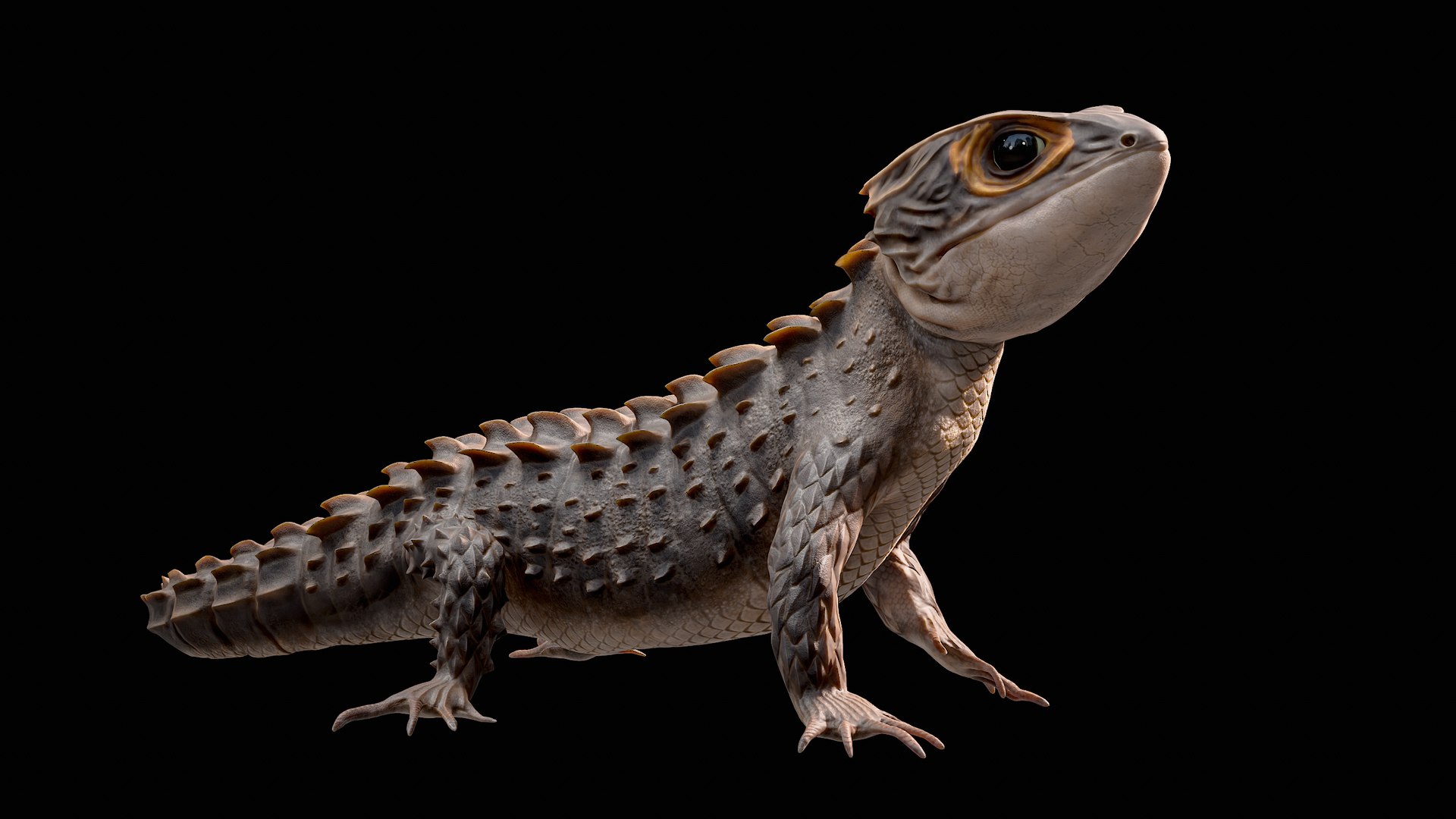Crocodile Skink Lizard Rigged PBR Model - TurboSquid 2070041