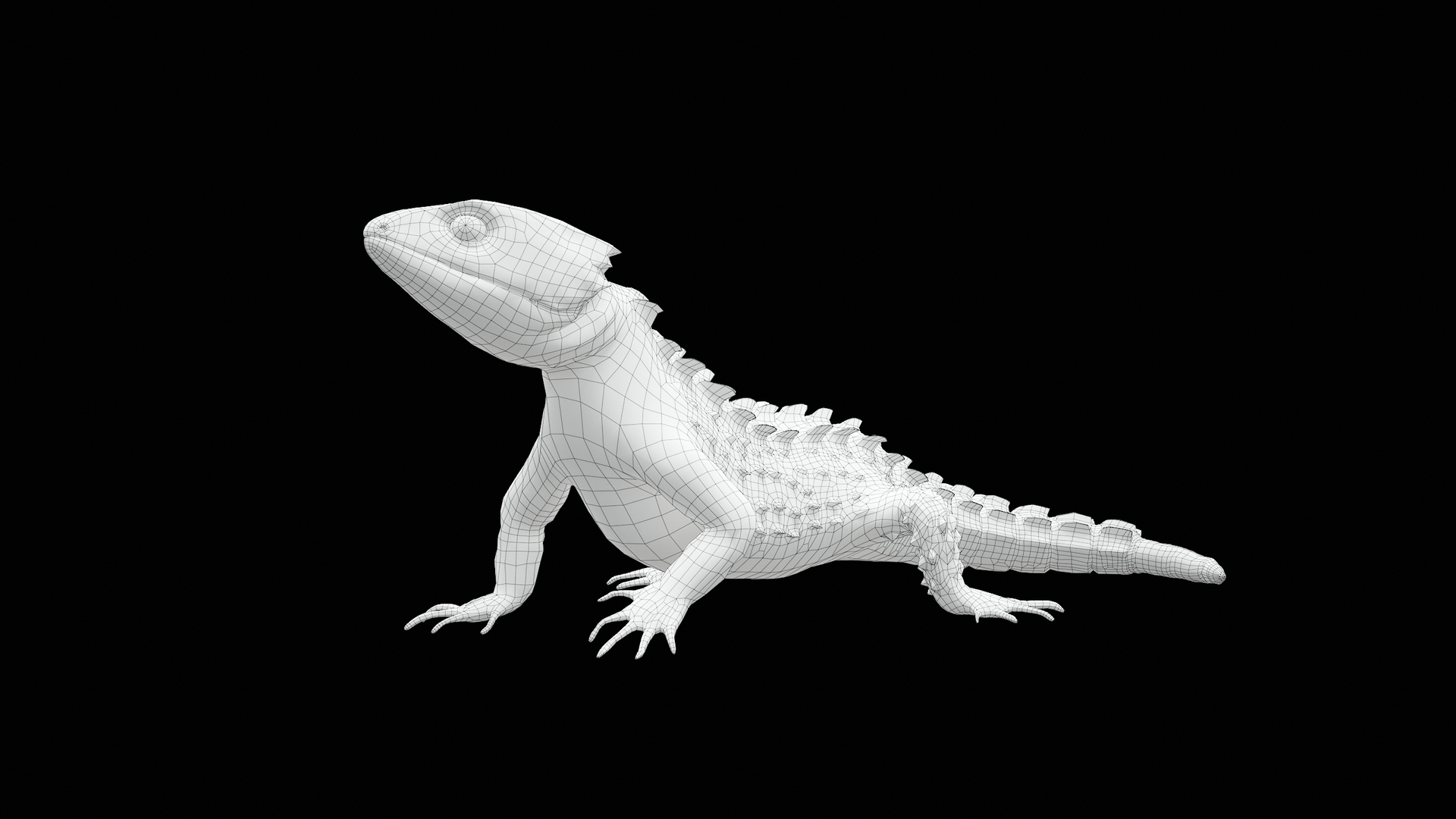 Crocodile Skink Lizard Rigged PBR Model - TurboSquid 2070041