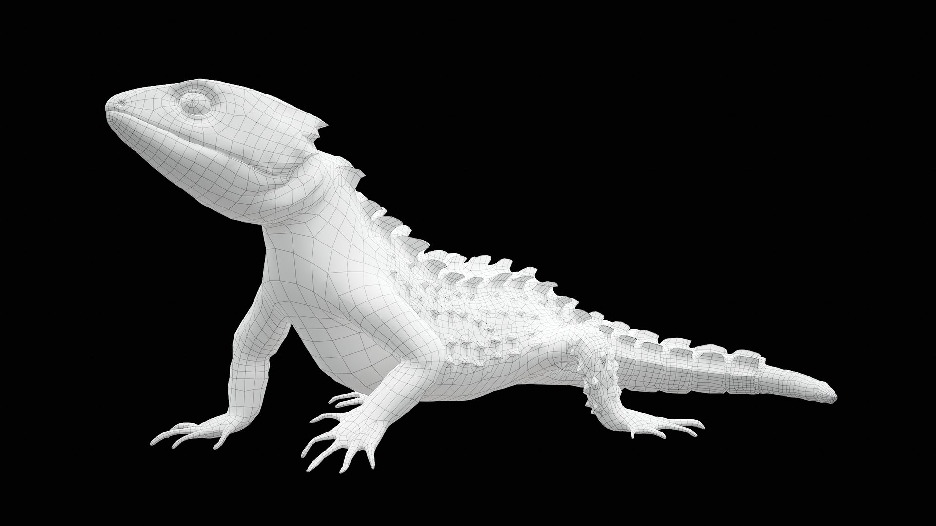 Crocodile Skink Lizard Rigged PBR Model - TurboSquid 2070041
