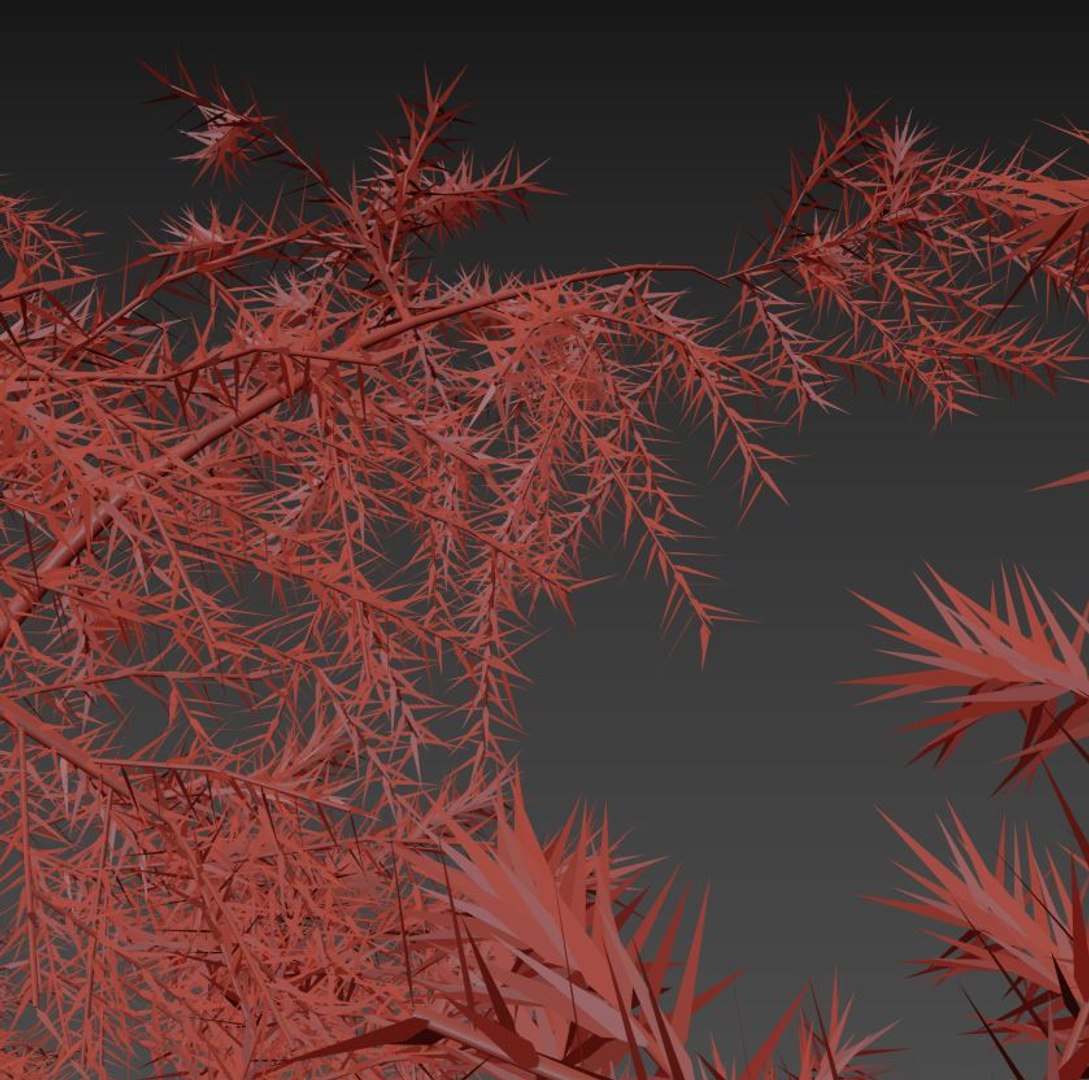 Tamarix Shrubs Trees 3D Model - TurboSquid 1275389