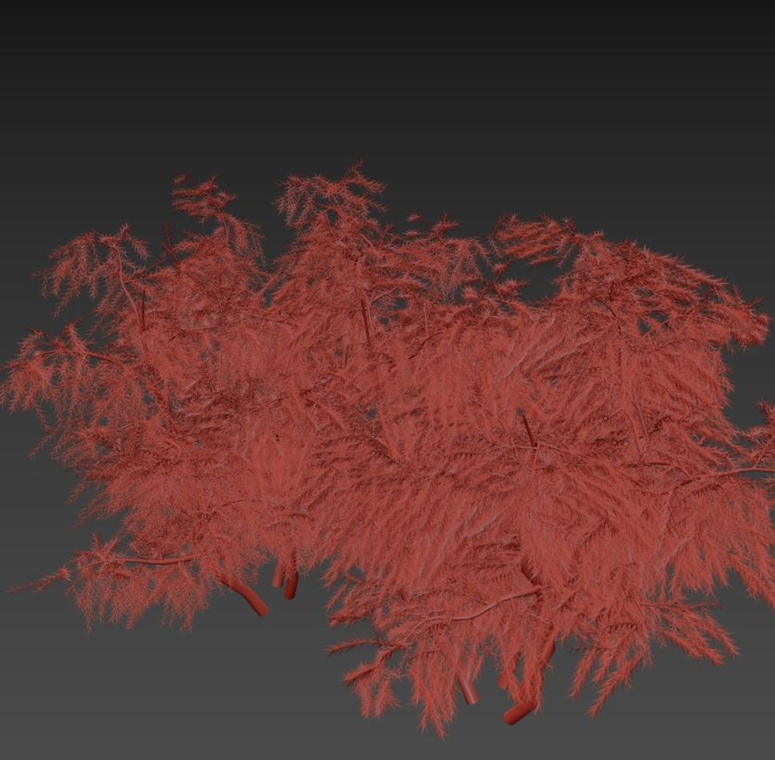 Tamarix Shrubs Trees 3D Model - TurboSquid 1275389