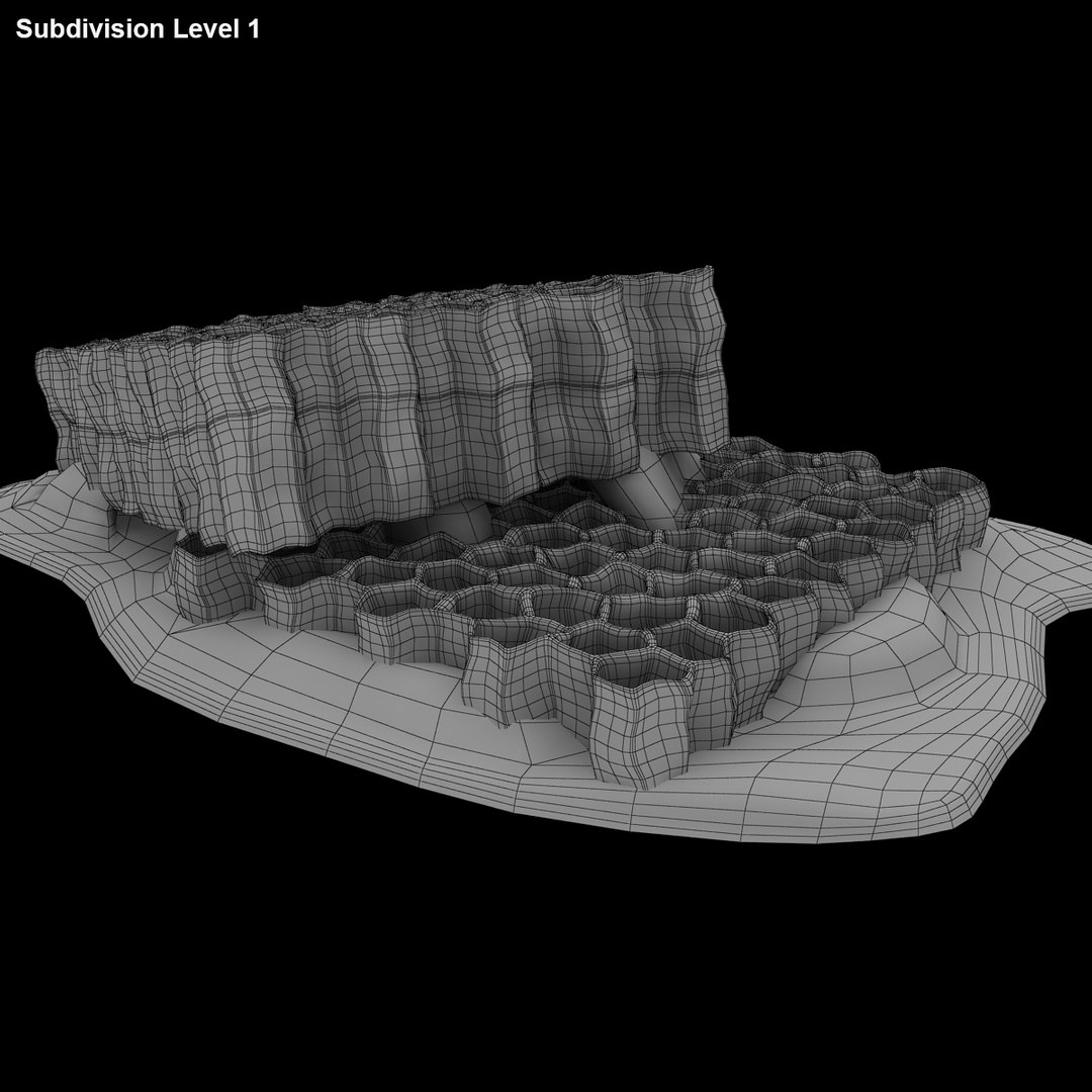 Honeycomb Scanline 3d Model