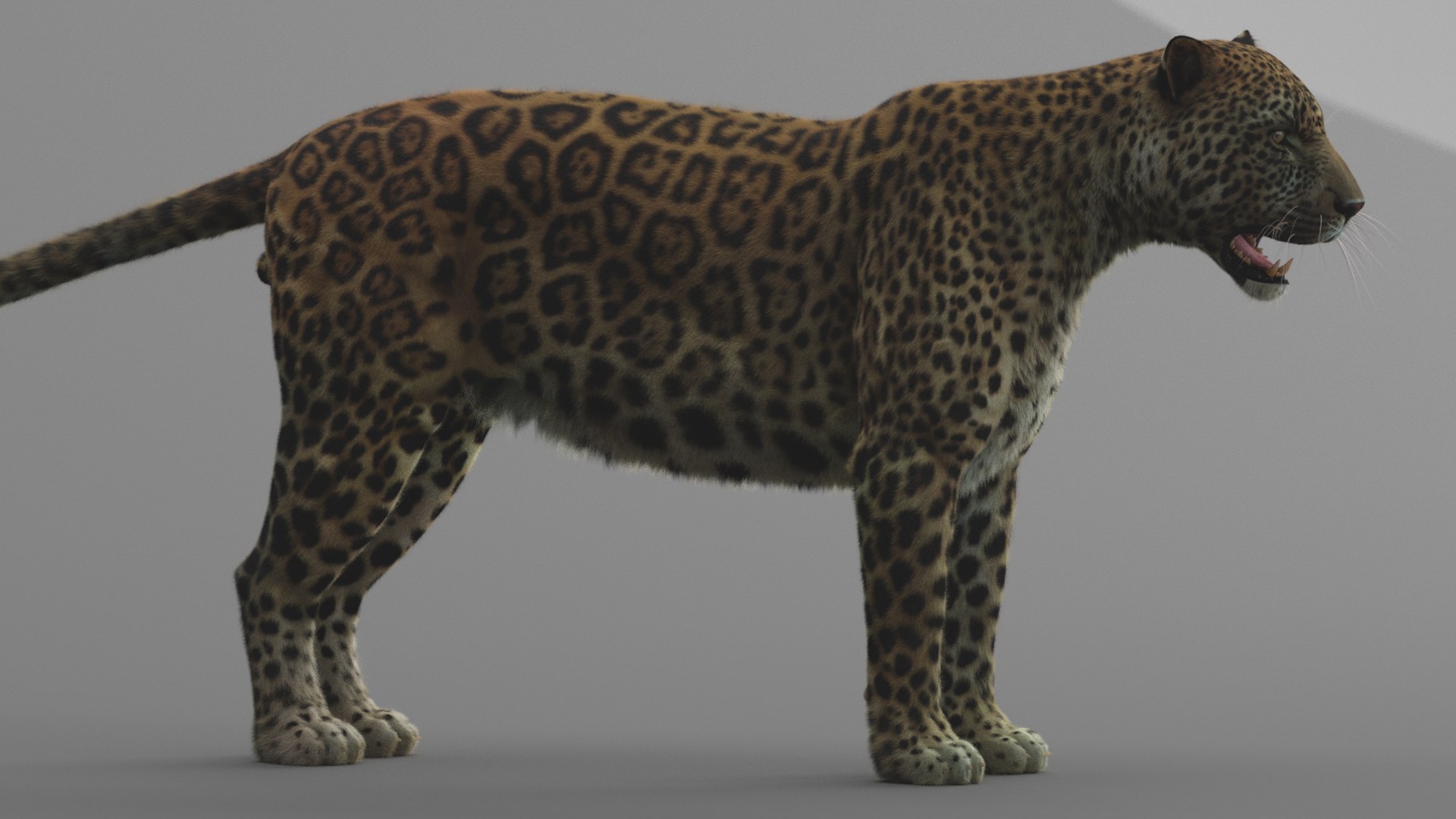3D Modeled Leopard Model - TurboSquid 1522474