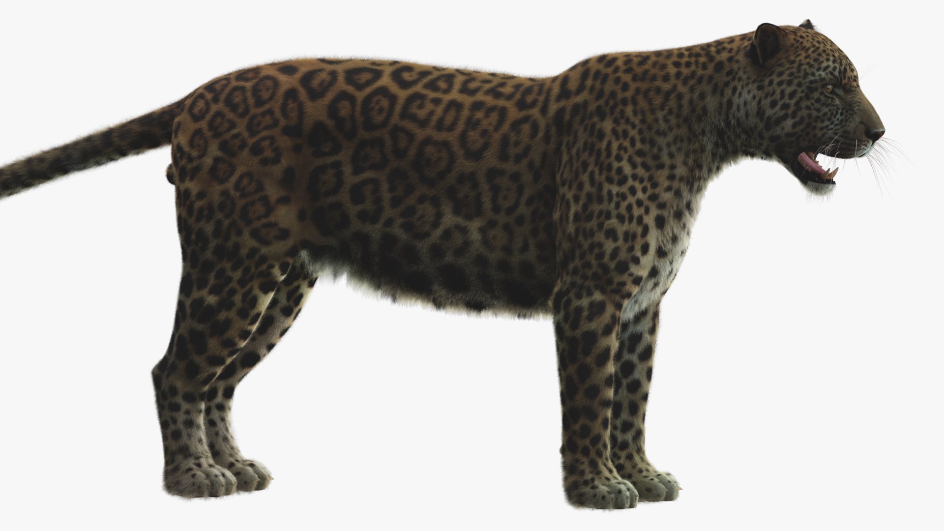 3D Modeled Leopard Model - TurboSquid 1522474